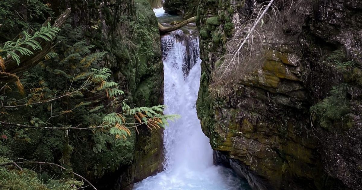Waterfalls | Discover Our Rainforest | See Revelstoke