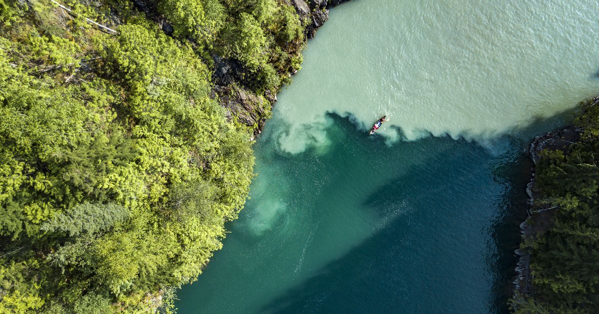 Lake Revelstoke | Swimming, Paddling, Biking, & More