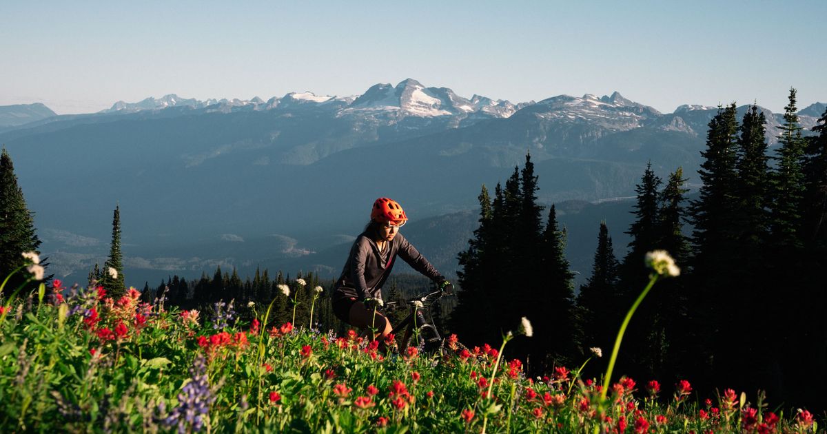 Revelstoke's Mountain Biking Guide For All Skill Levels