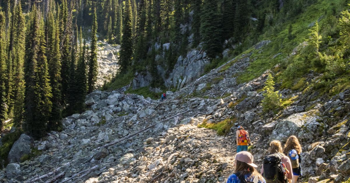 5 of Revelstoke's Best Hiking Trails | See Revelstoke